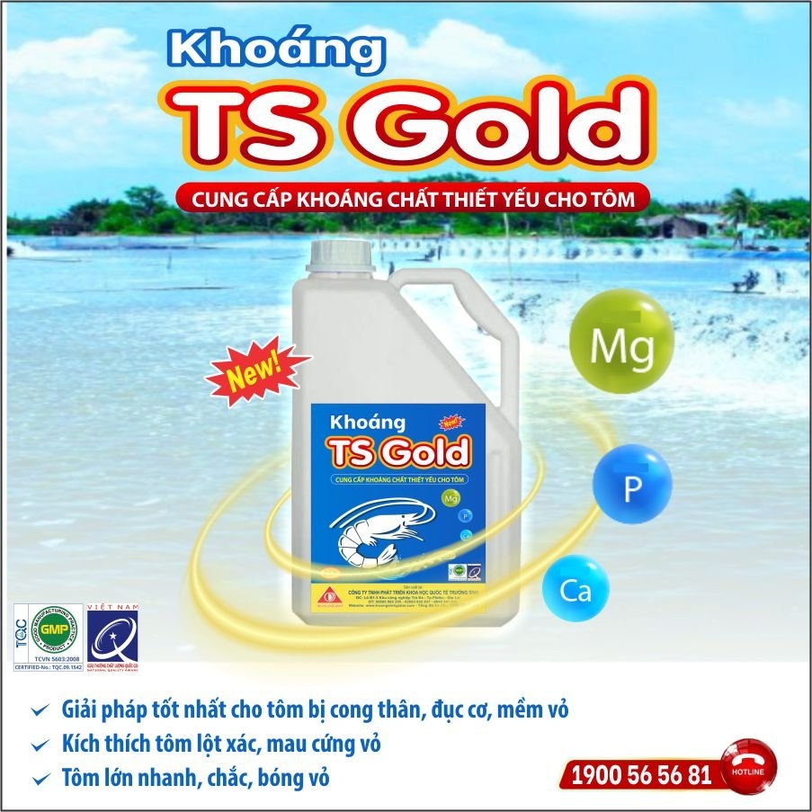 Sản phẩm khoáng nước TS Gold- Chất Lượng- Hiệu Quả Dành Cho Tôm Thương Phẩm