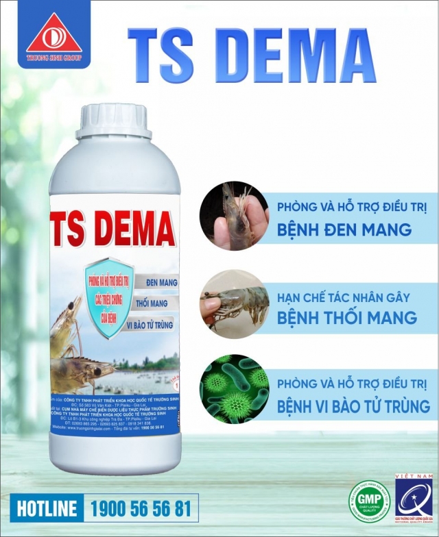 TS DEMA - PHÒNG VÀ HỖ TRỢ CÁC TRIỆU CHỨNG ĐEN MANG, THỐI MANG, VI BÀO ...